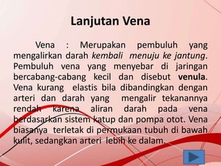 Sistem Peredaran Darah | PPTX