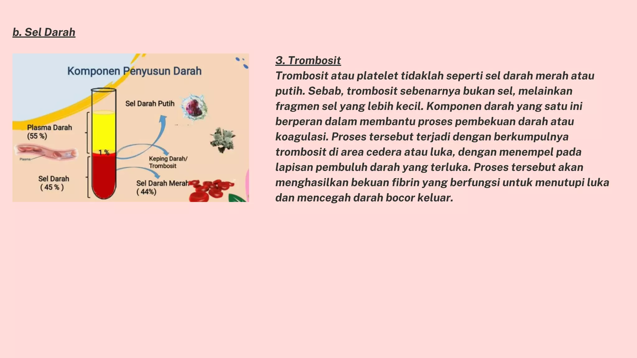 sistem peredaran darah.pdf