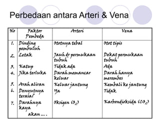 sistem Peredaran darah(sistem sirkualsi)pdf | PDF