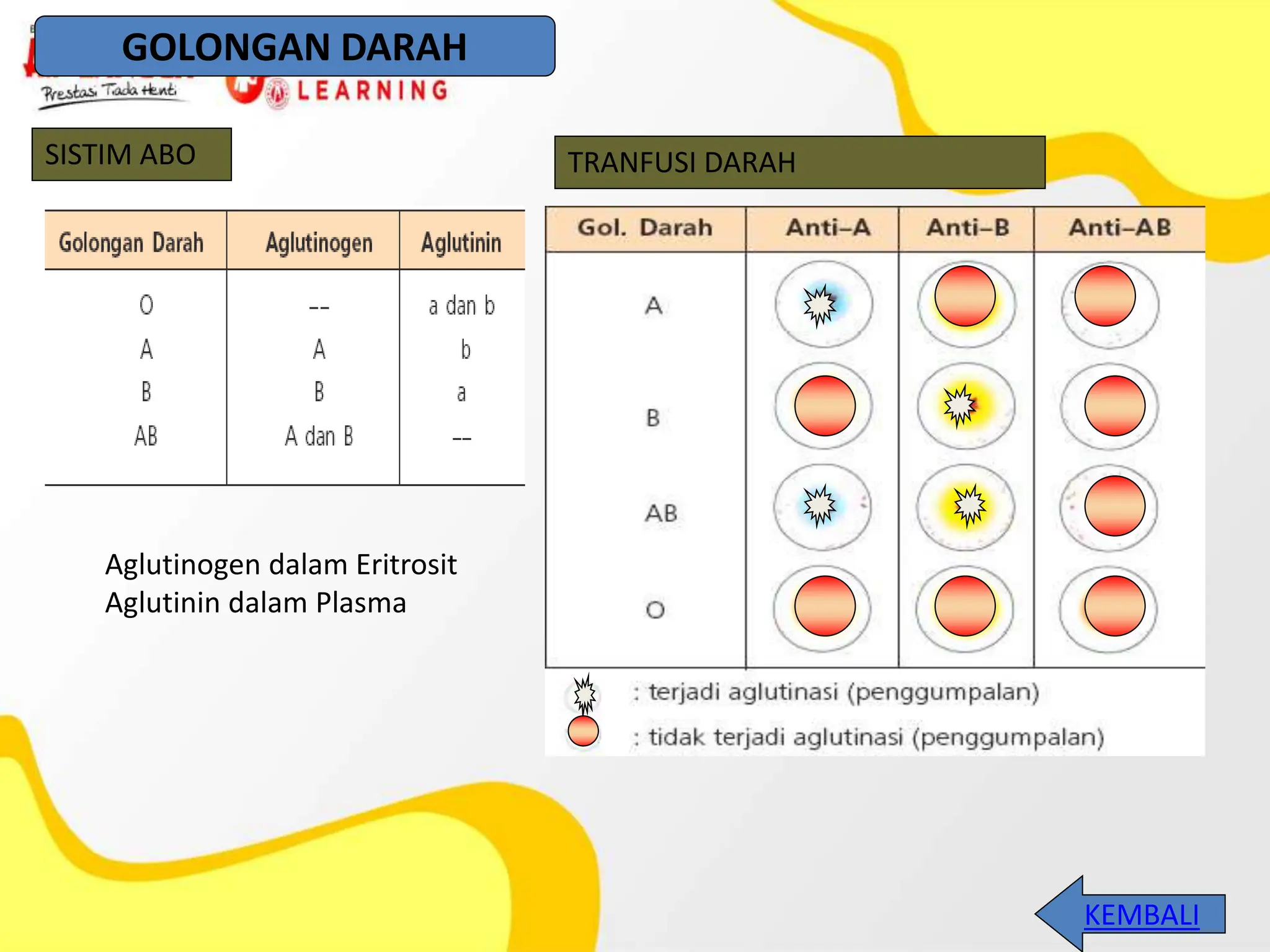 sistem peredaran darah atau sirkulasi.pptx