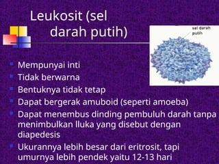 Sistem Peredaran Darah manusia VIII .ppt