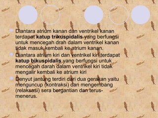 Sistem Peredaran Darah manusia VIII .ppt