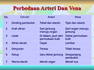 Sistem Peredaran Darah manusia VIII .ppt