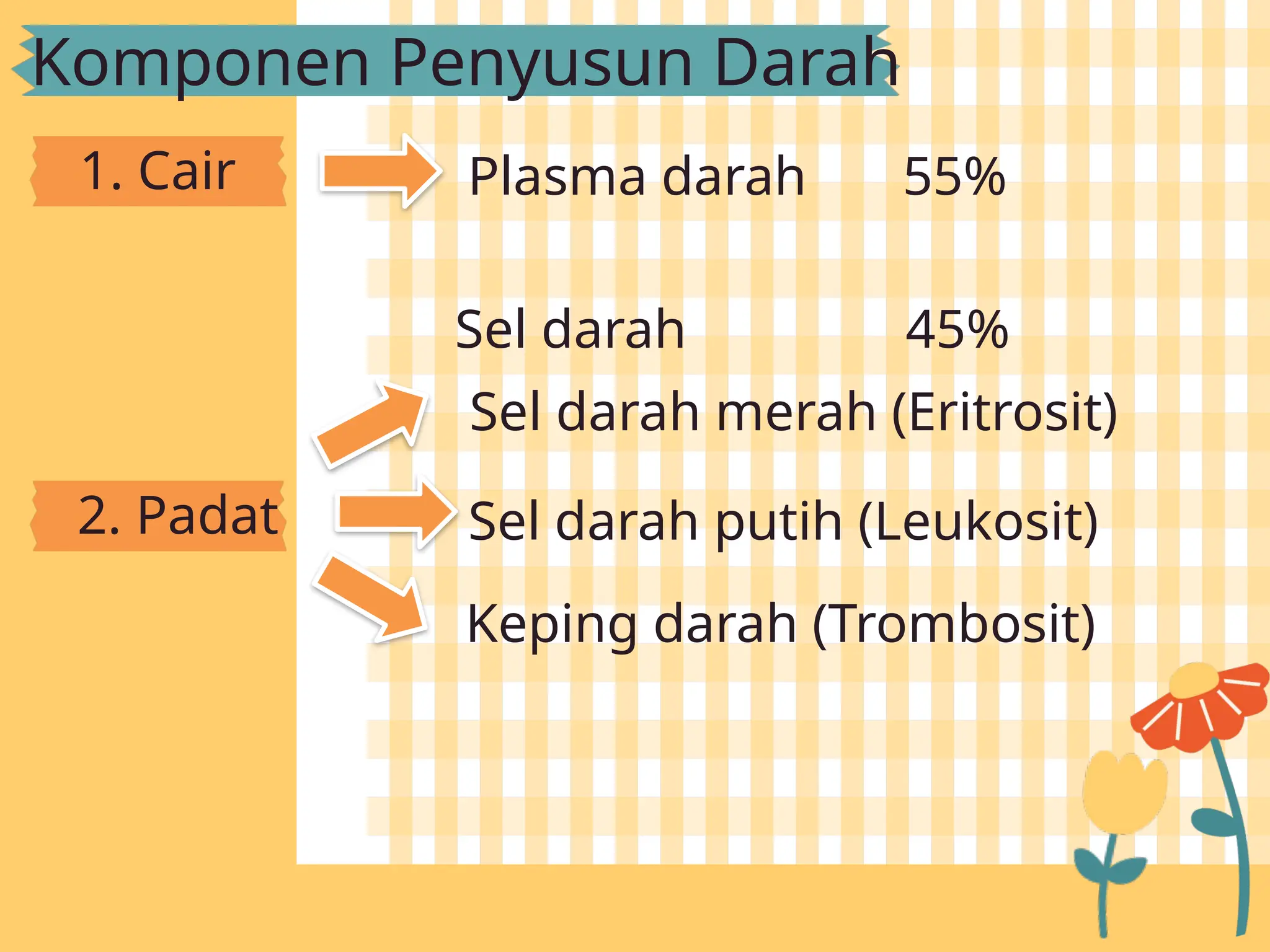 sistem peredaran darah manusia didalam tubuh | PPTX
