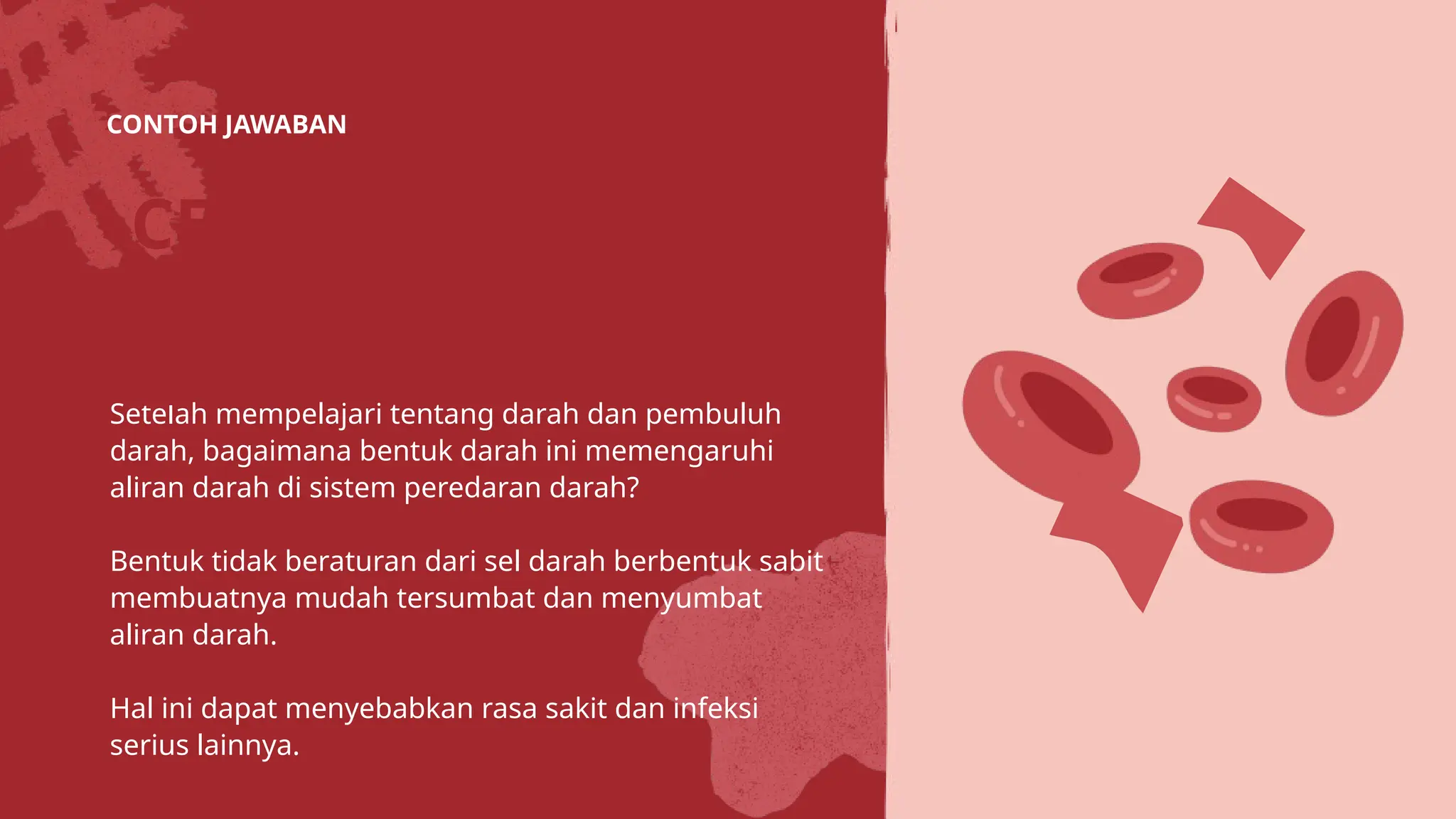 sistem peredaran darah dalam tubuh manusia.pptx