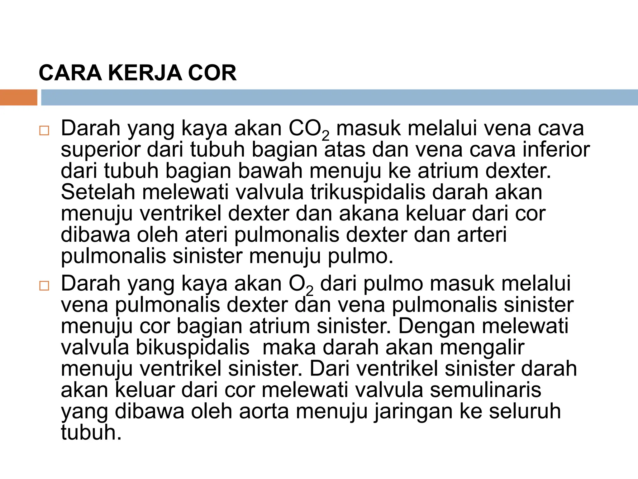 Sistem Peredaran Darah Manusia dan Hewan | PPTX