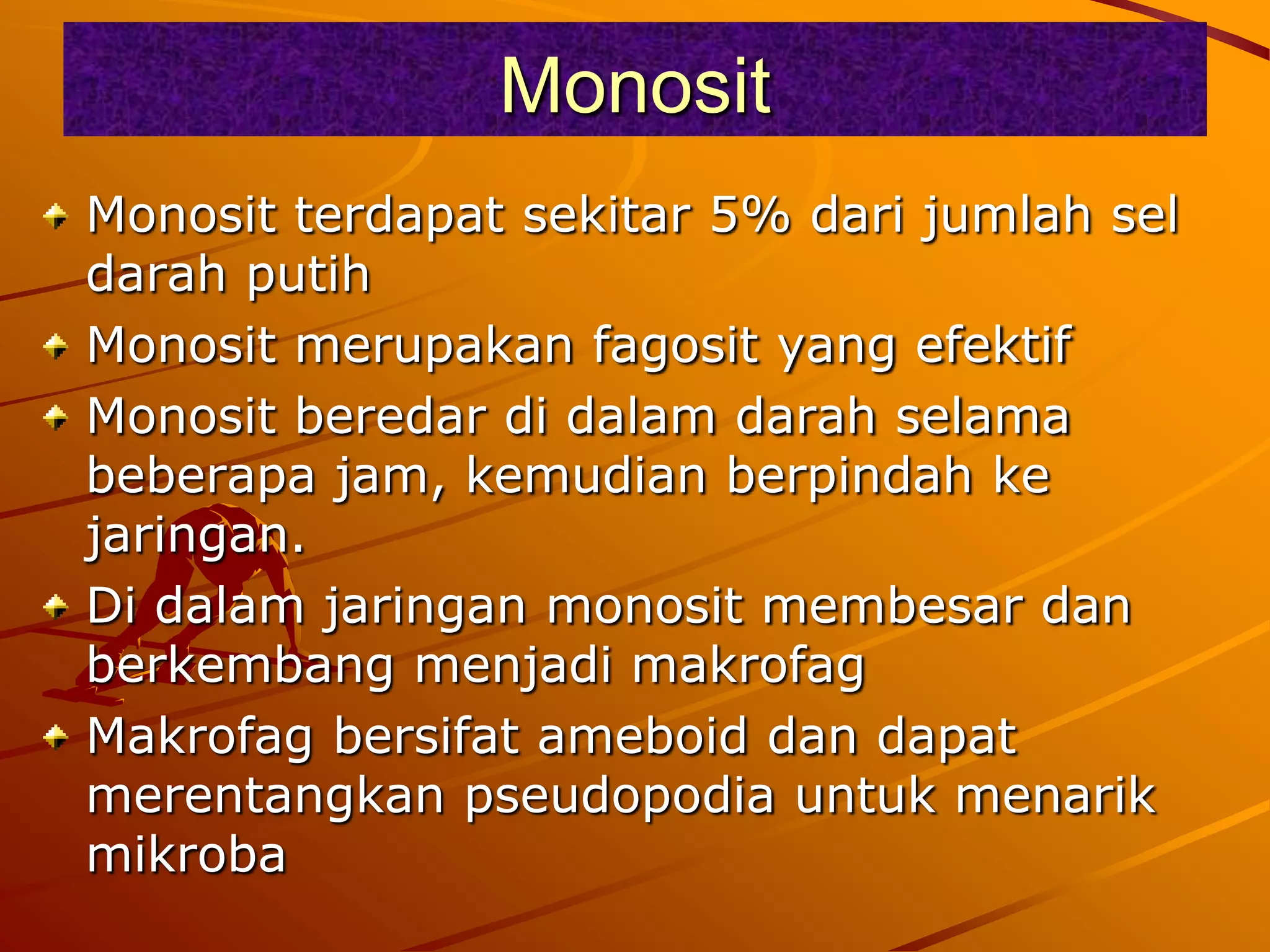 Sistem Peredaran Darah Pada Manusia | PPTX