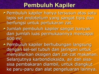 Sistem Peredaran Darah Pada Manusia | PPTX