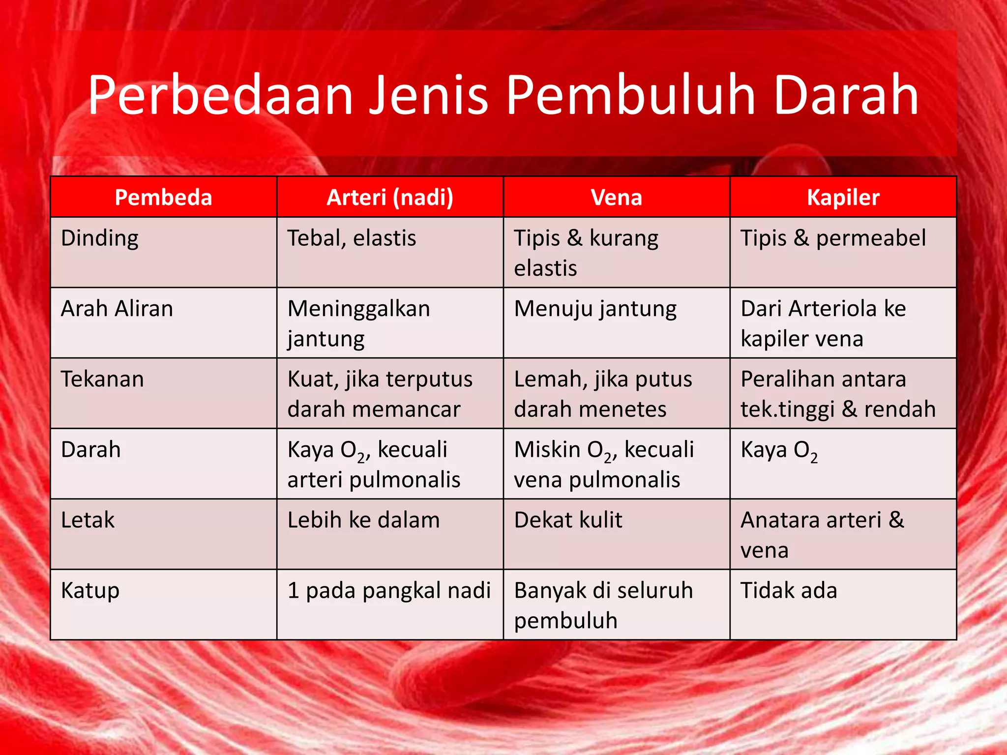 Sistem peredaran darah manusia | PPTX