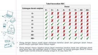 SISTEM PEREDARAN DARAH MANUSIA.pptx