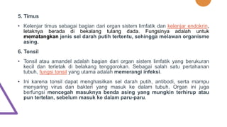 SISTEM PEREDARAN DARAH MANUSIA.pptx