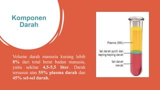 SISTEM PEREDARAN DARAH MANUSIA.pptx