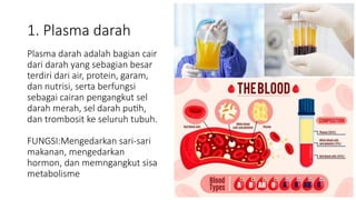 sistem peredaran darah manusia.pptx