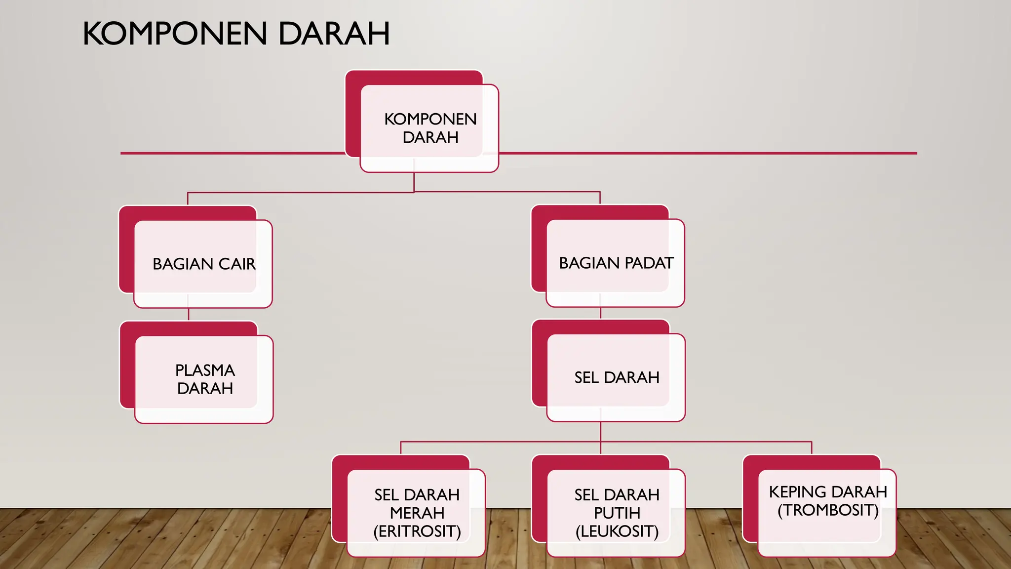 SISTEM PEREDARAN DARAH MANUSIA ipa .pptx