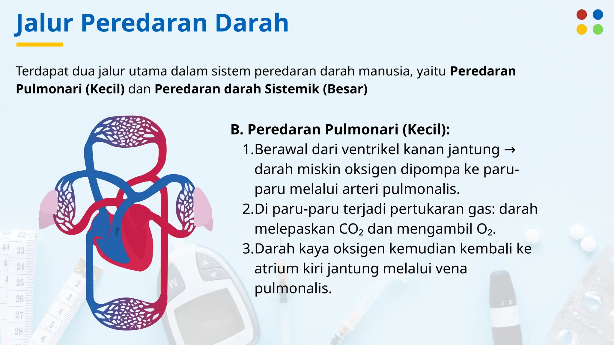 Sistem Peredaran Darah Manusia dan komponen darah XI.pptx