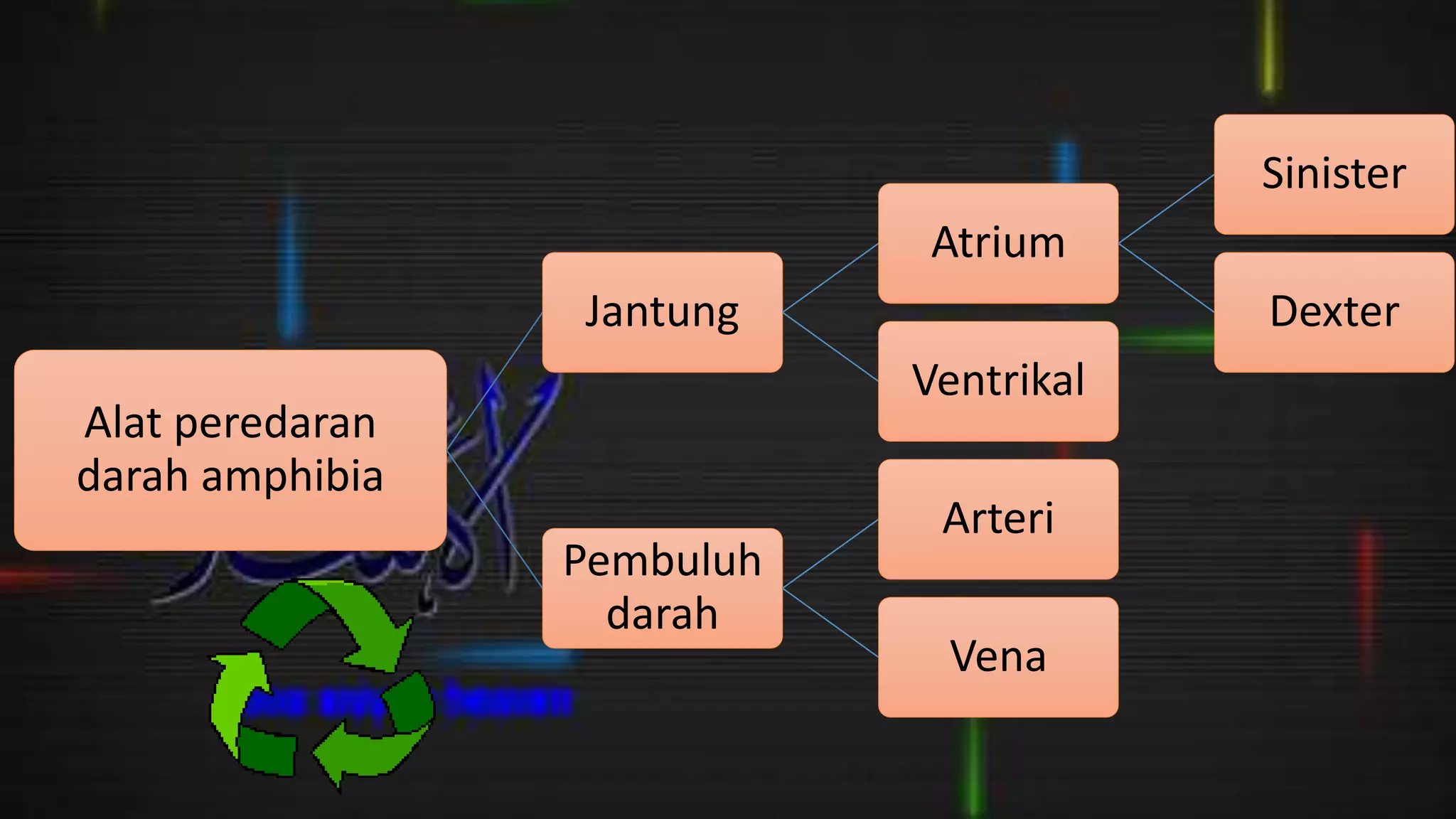 Sistem peredaran darah pada amphibia | PPTX