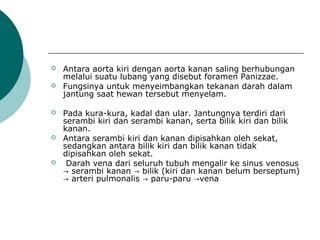 Sistem Peredaran Darah pada Hewan | PPT