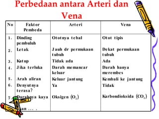 Sistem Peredaran Darah Pertemuan II | PPT
