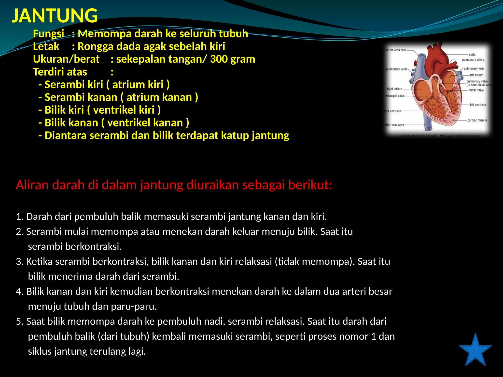 Sistem_Peredaran_Darah_manusia Ppt.pptx