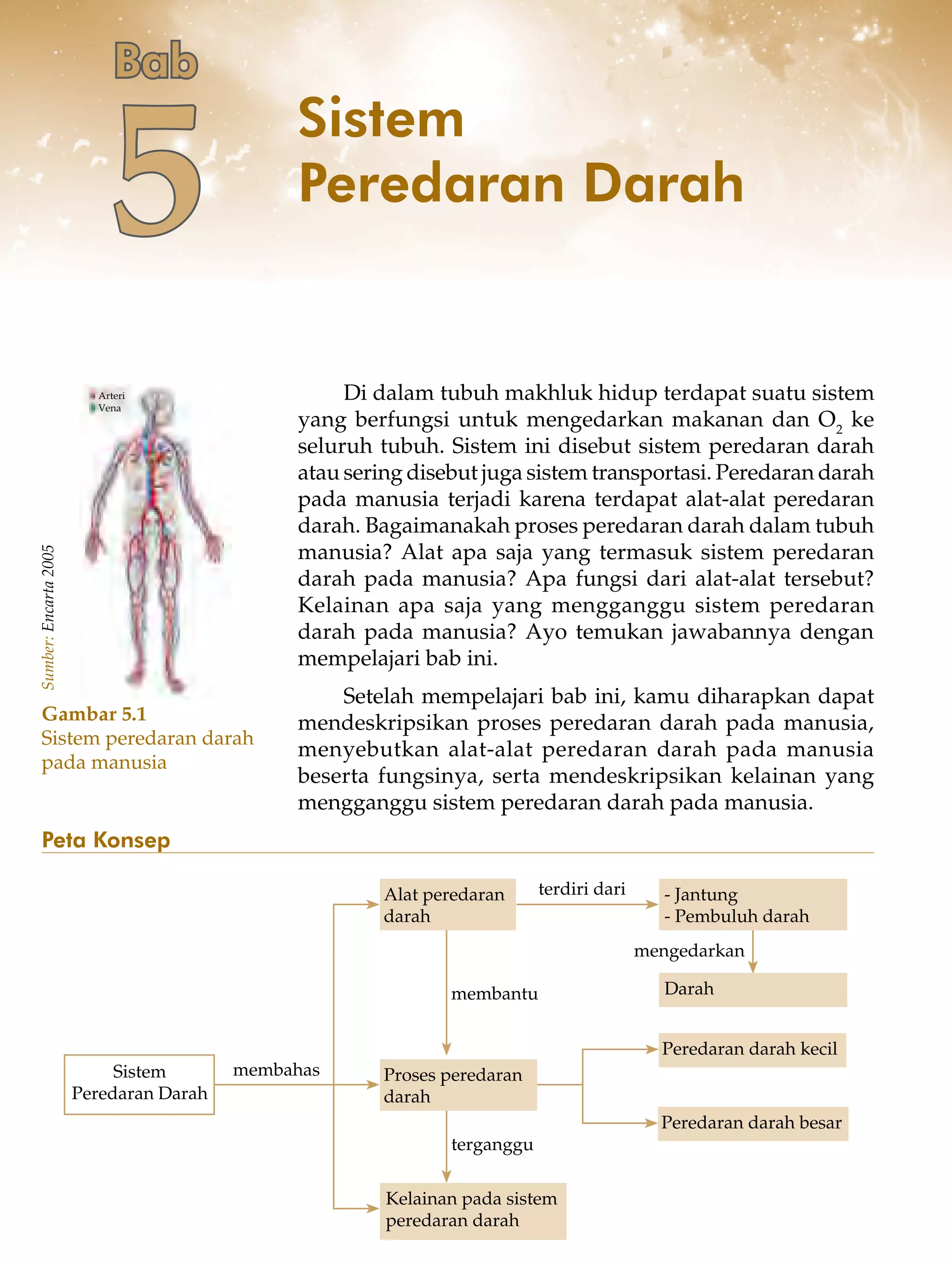 Sistem peredaran Darah | PDF