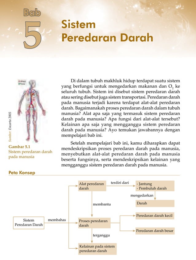 Sistem peredaran Darah | PDF