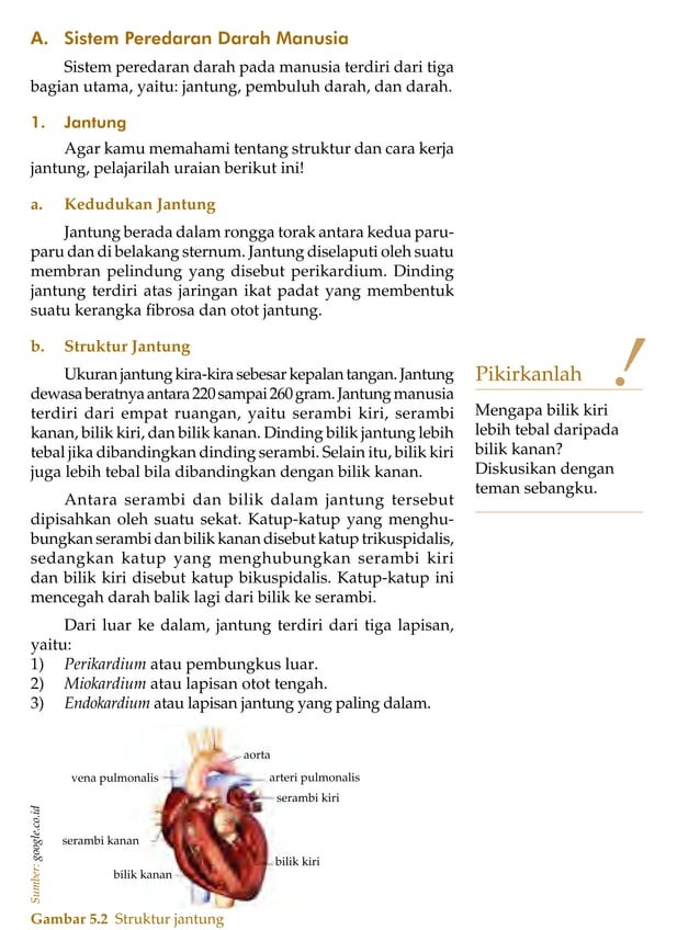 Sistem peredaran Darah | PDF