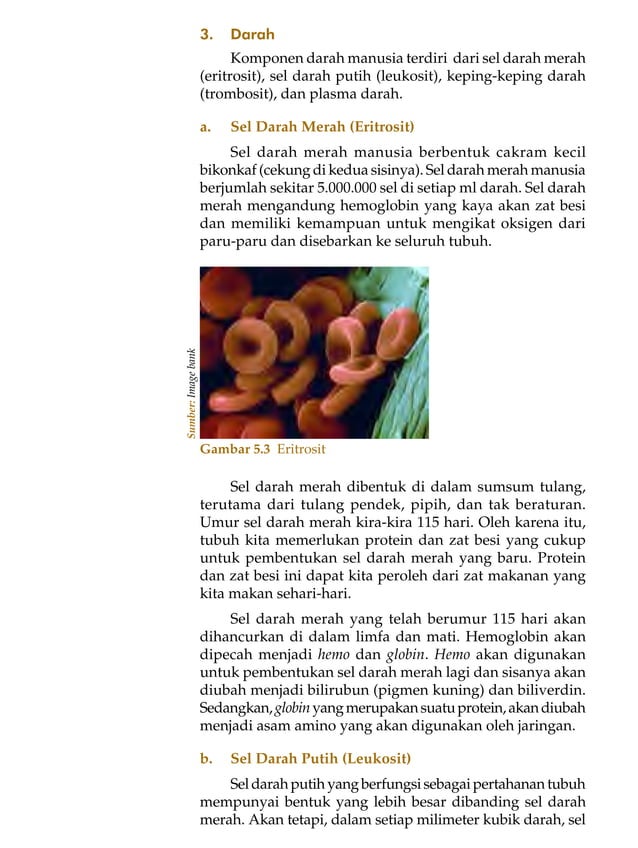 Sistem peredaran Darah | PDF