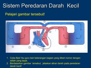 Sistem peredaran darah solo | PPT