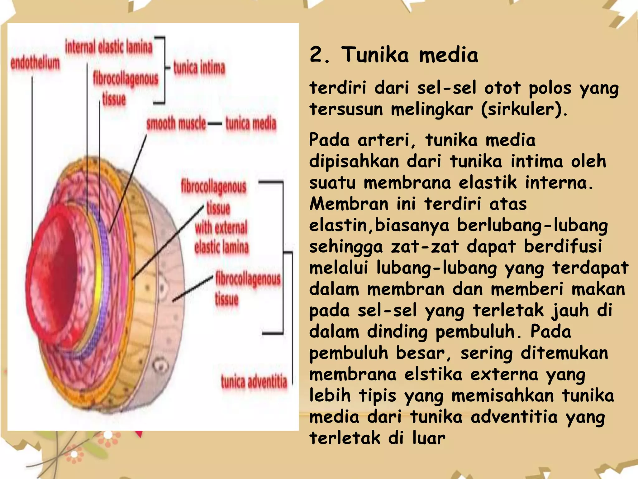 SISTEM PEREDARAN DARAH VERTEBRATA | PPTX