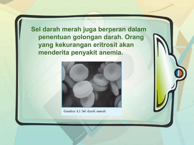 Sistem peredaran darah wiwi neka | PPT