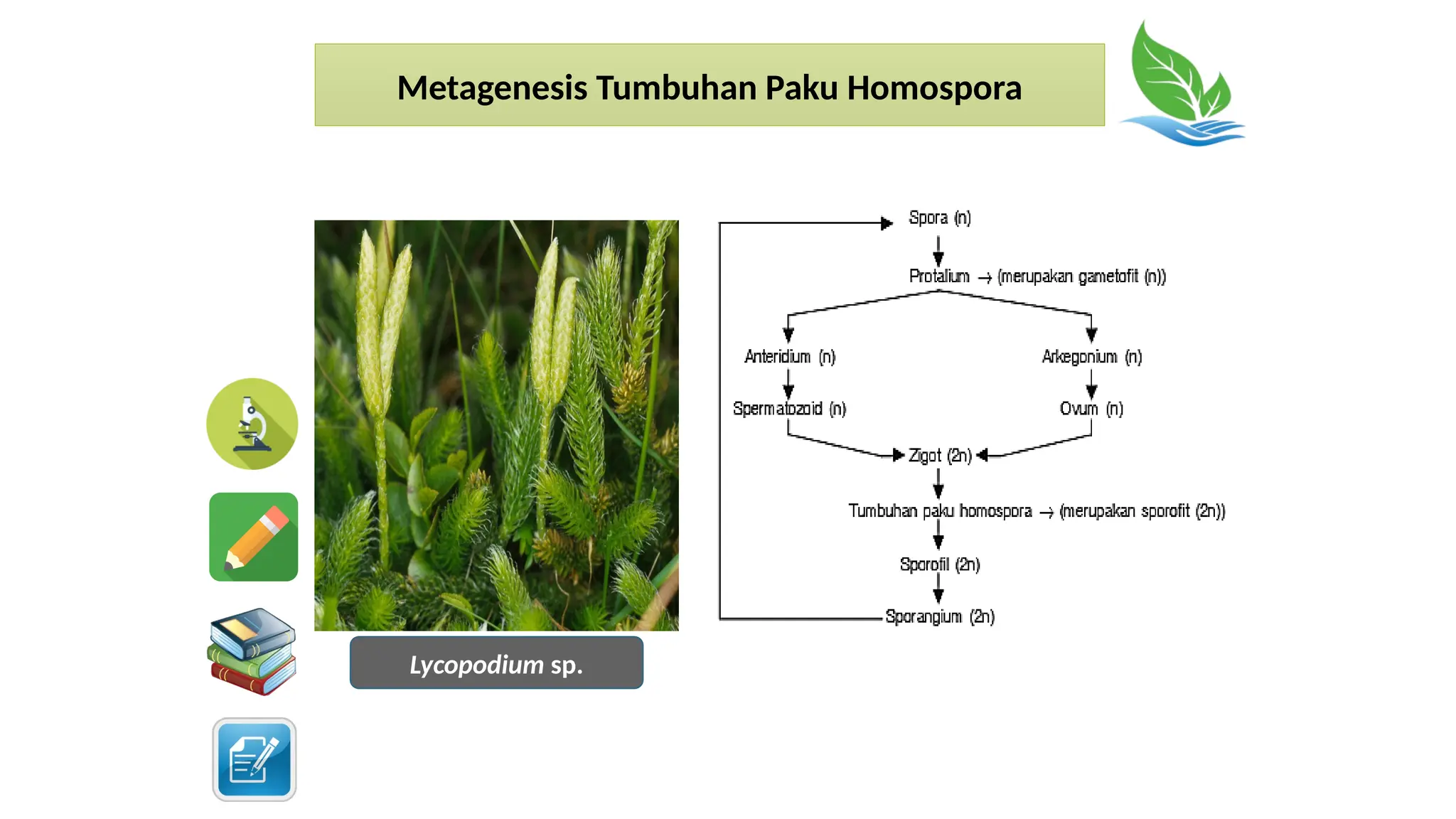 Sistem Perkembangbiakan Tumbuhan dan Hewan (bag. 1).pptx