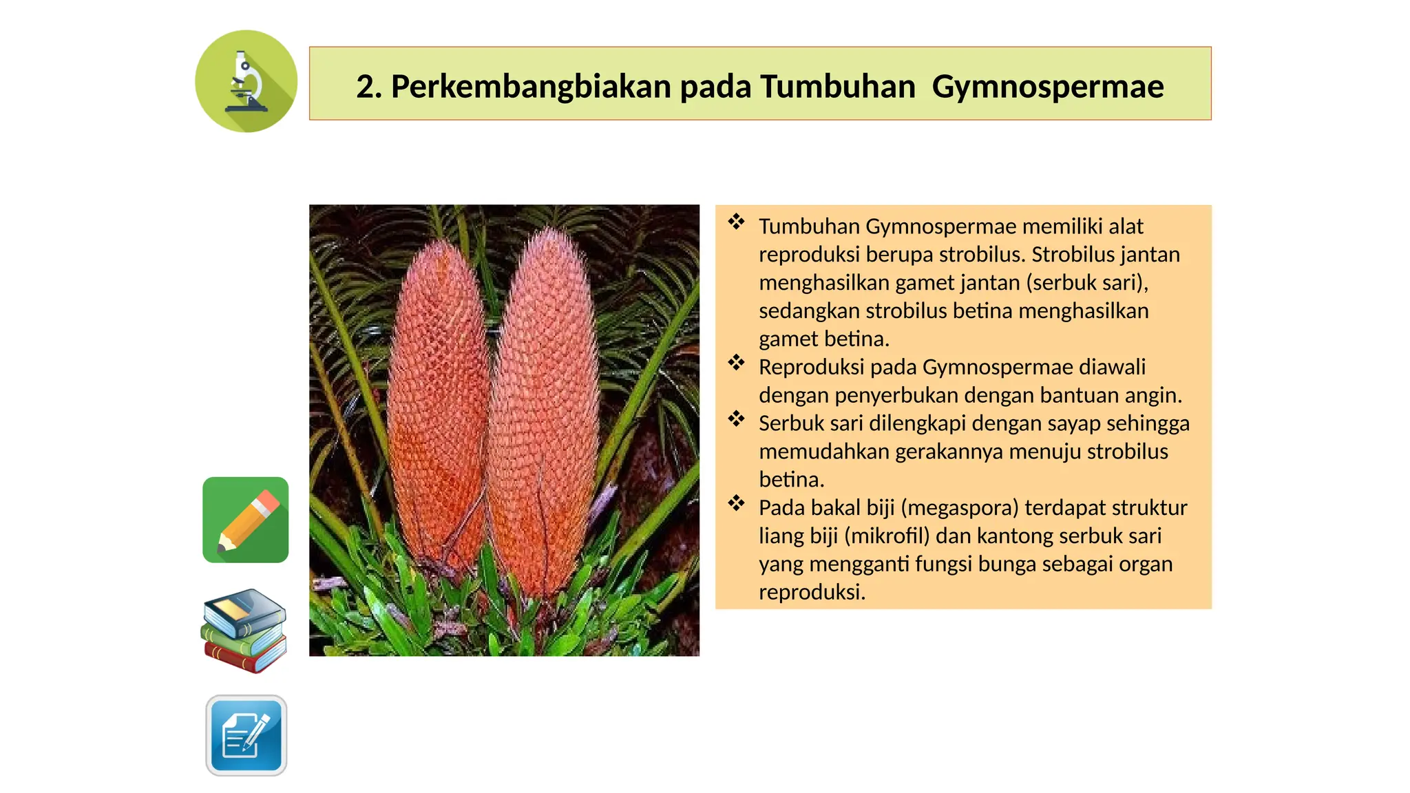 Sistem Perkembangbiakan Tumbuhan dan Hewan (bag. 1).pptx