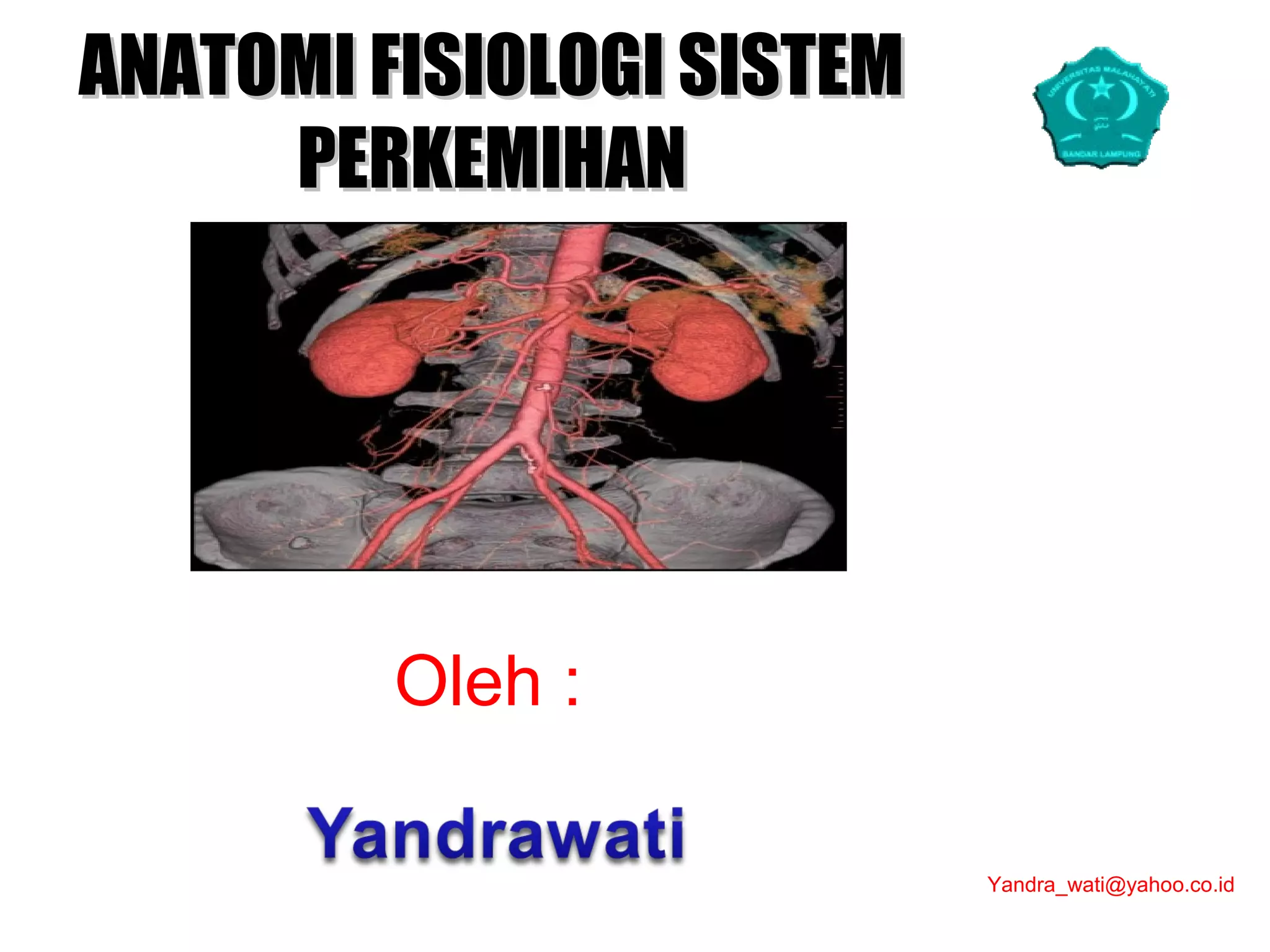 Anatomi Fisiologi Sistem Perkemihan | PPT