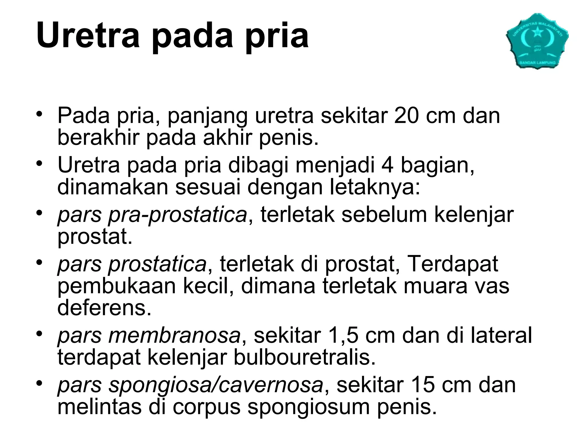 Anatomi Fisiologi Sistem Perkemihan | PPT