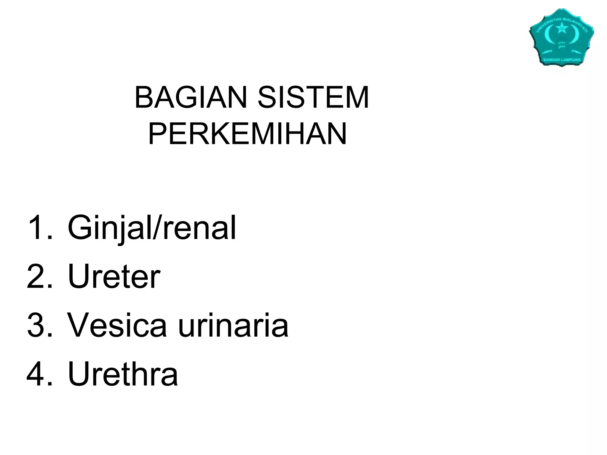 Anatomi Fisiologi Sistem Perkemihan | PPT