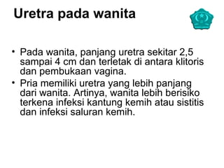 Anatomi Fisiologi Sistem Perkemihan | PPT