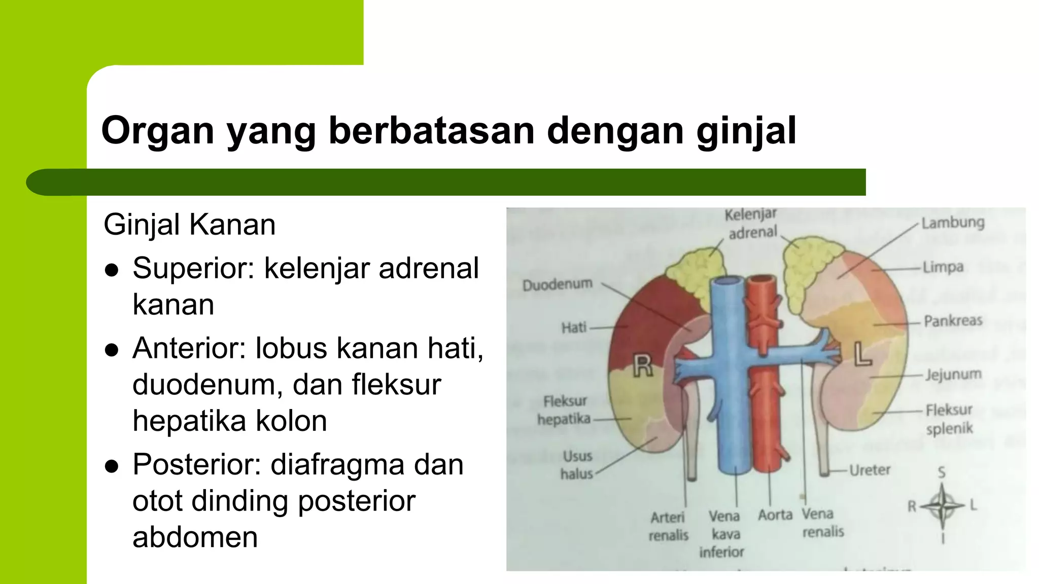 SISTEM PERKEMIHAN.pptx