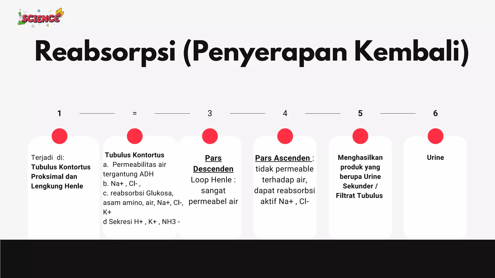 Sistem Perkemihan dan Cairan Tubuh (1).pdf