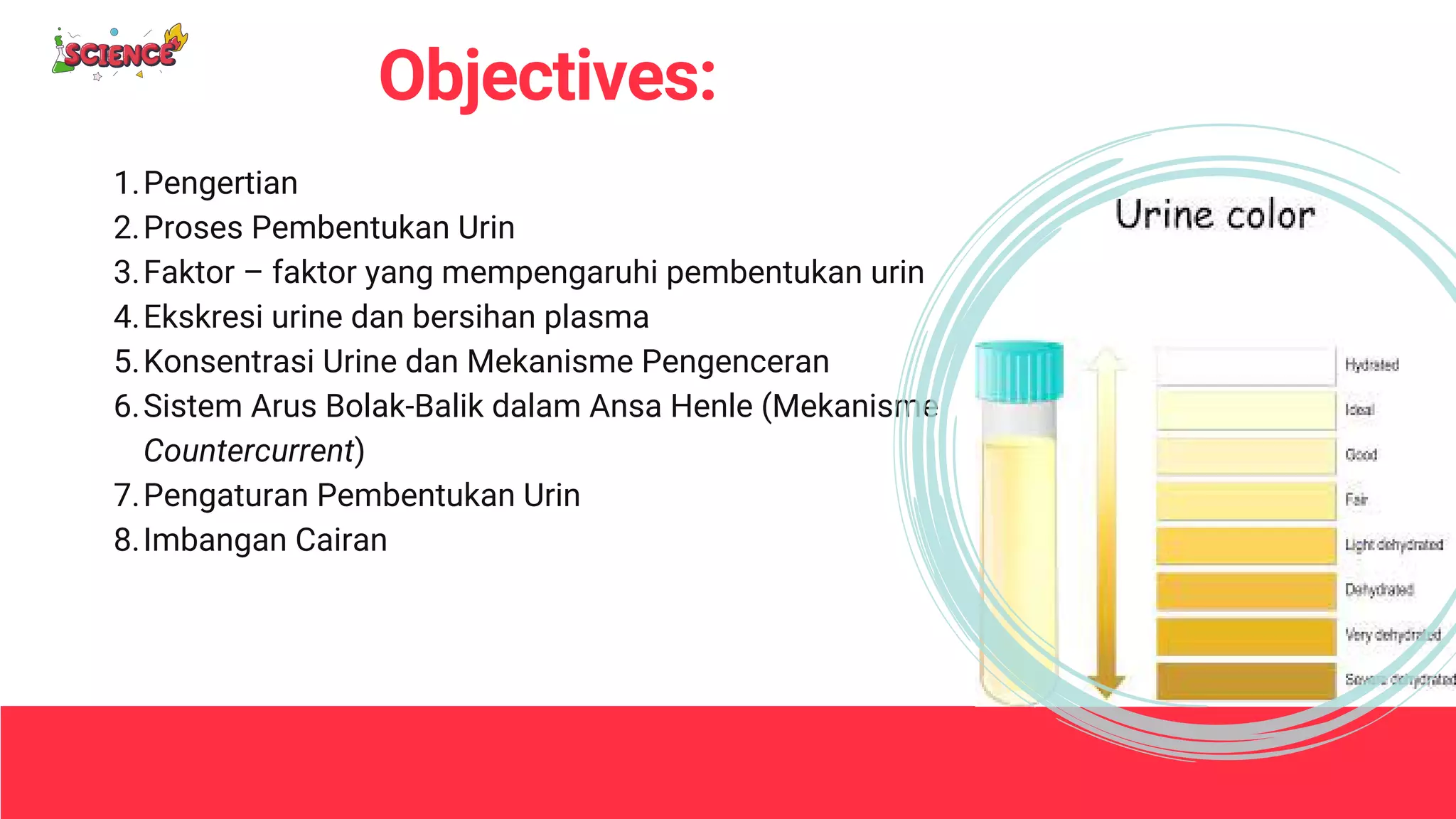 Sistem Perkemihan dan Cairan Tubuh (1).pdf