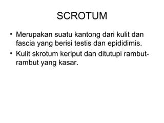 Sistemperkemihandanreproduksi | PPT
