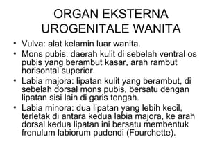Sistemperkemihandanreproduksi | PPT
