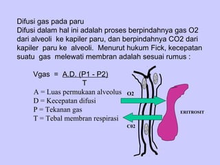 Sistem pernafasan Manusia | PPT