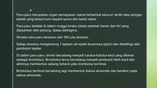 Anatomi dan Fisiologi SISTEM PERNAFASAN.pdf