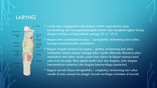 Sistem saluran pernafasan dalam tubuh manusia | PDF