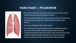 Sistem saluran pernafasan dalam tubuh manusia | PPT