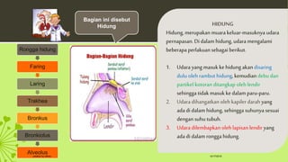 Sistem pernapasan kelas viii | PPTX