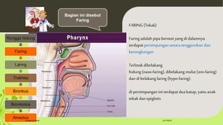 Sistem pernapasan kelas viii | PPTX
