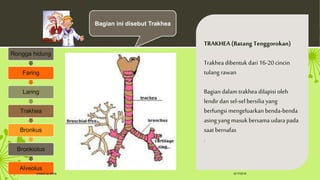 Sistem pernapasan kelas viii | PPTX