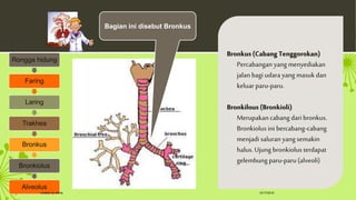 Sistem pernapasan kelas viii | PPTX