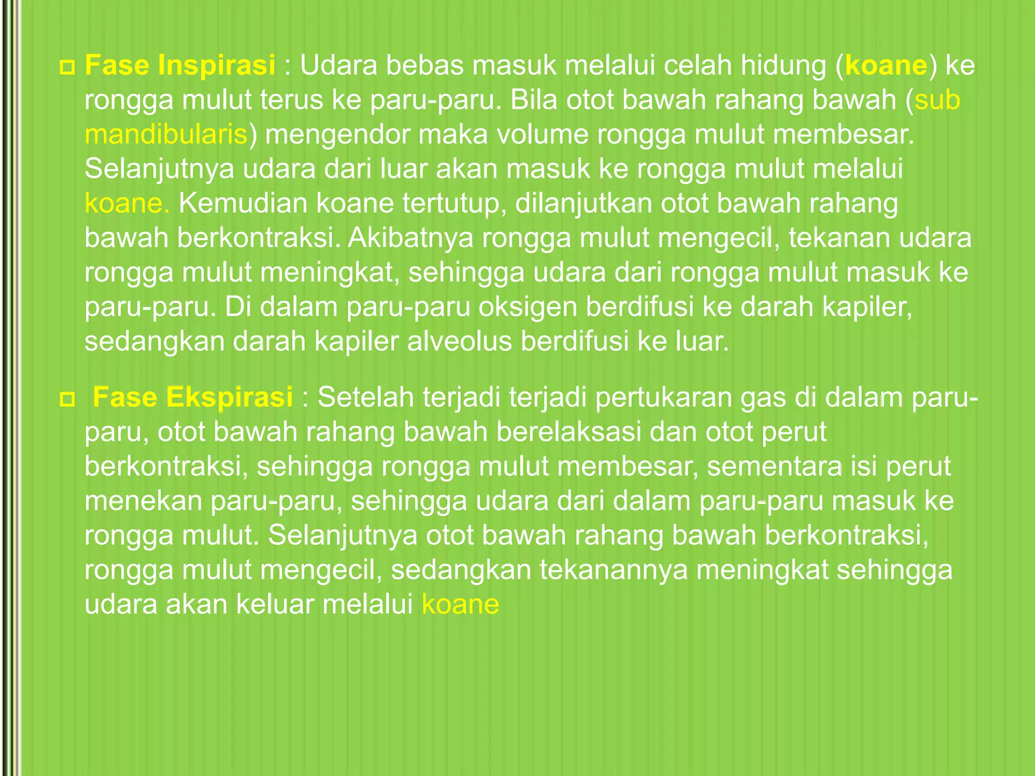 Sistem pernafasan | PPTX